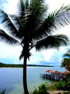 Pictures From Kai Island - This Way To Paradise-Beaches and Islands