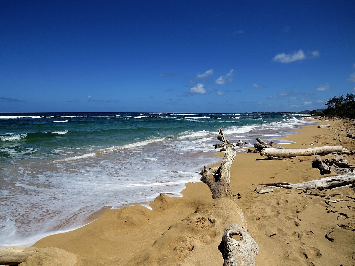 This Kauai Bike Path Will Show You Some Of The Best Views In Hawaii ...