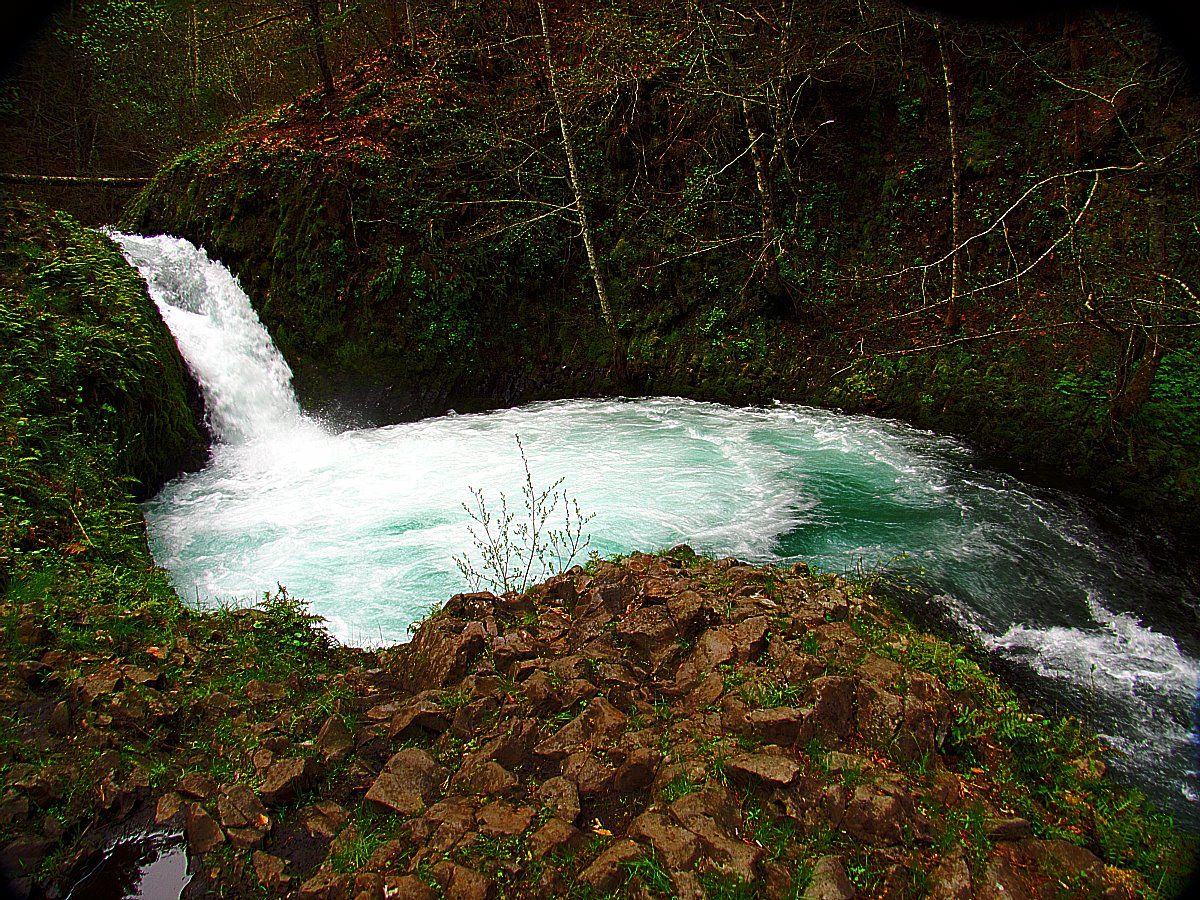 Washington Hikes: Buck Creek Falls - This Way To Paradise-Beaches and ...