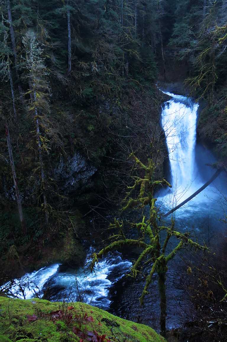 Oregon Waterfalls: Butte Creek Falls - This Way To Paradise-Beaches and ...