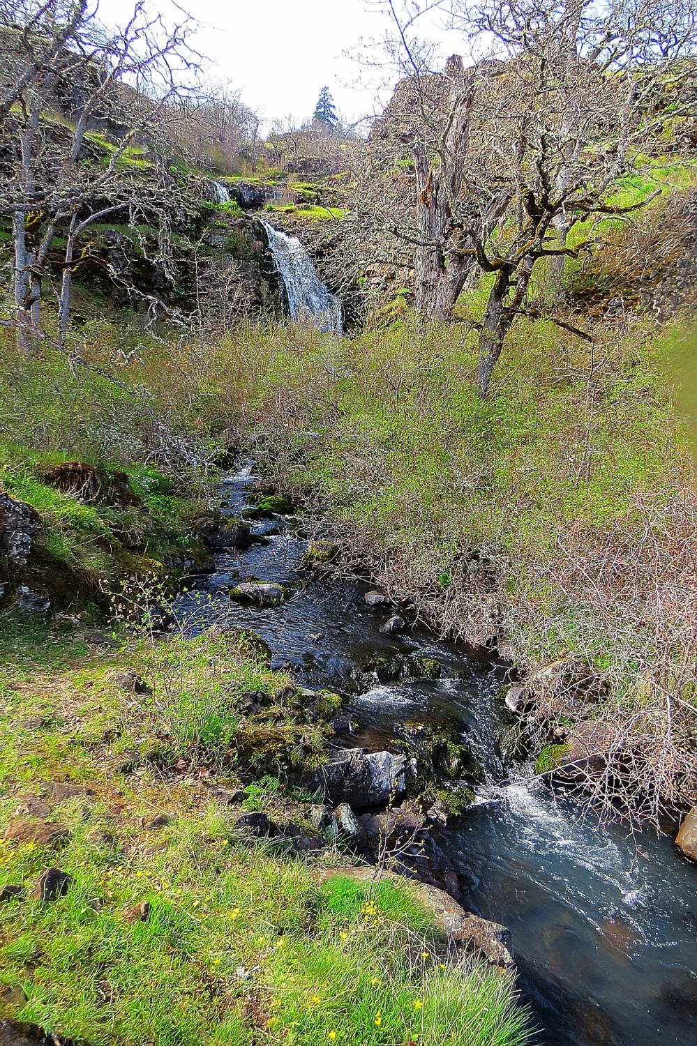 Washington Hikes: The Columbia Gorge Labyrinth Has It All - This Way To ...