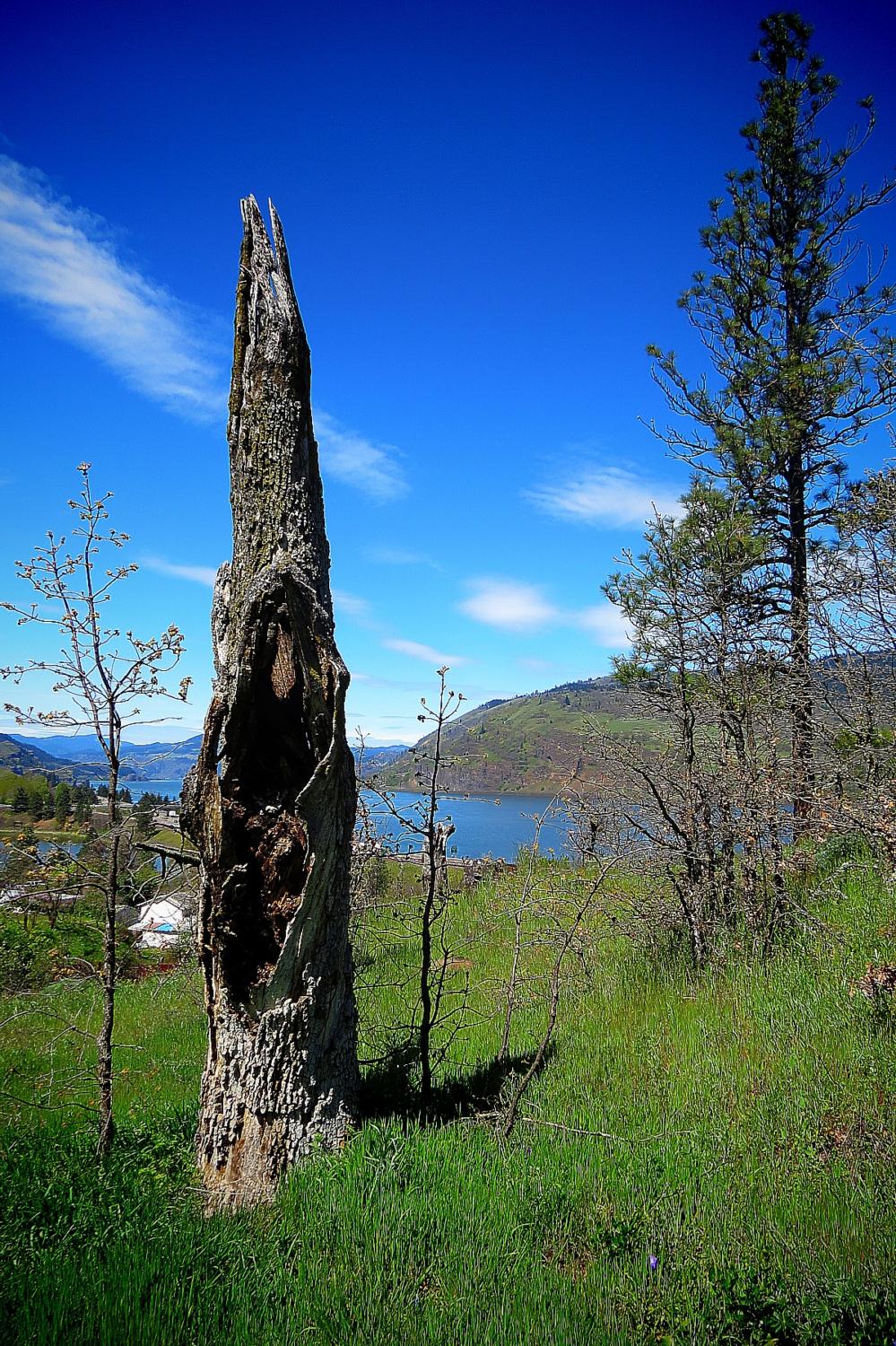 Oregon Waterfall Hikes: Mosier Creek Falls and Mosier Plateau - This ...