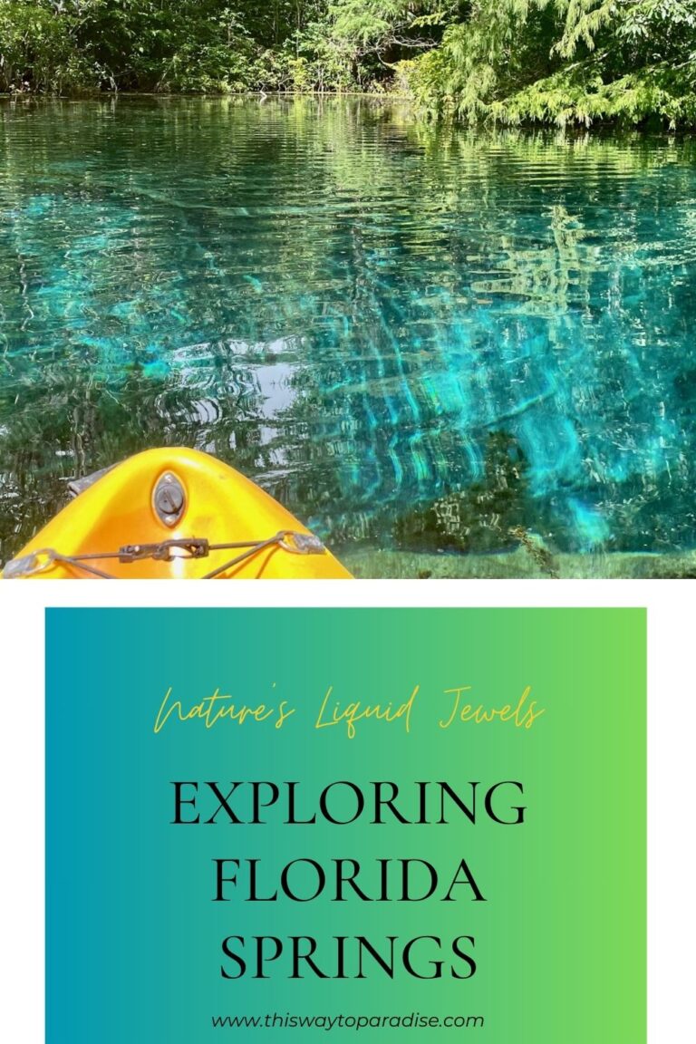 Exploring Florida Springs: Nature's Liquid Jewels - This Way To ...