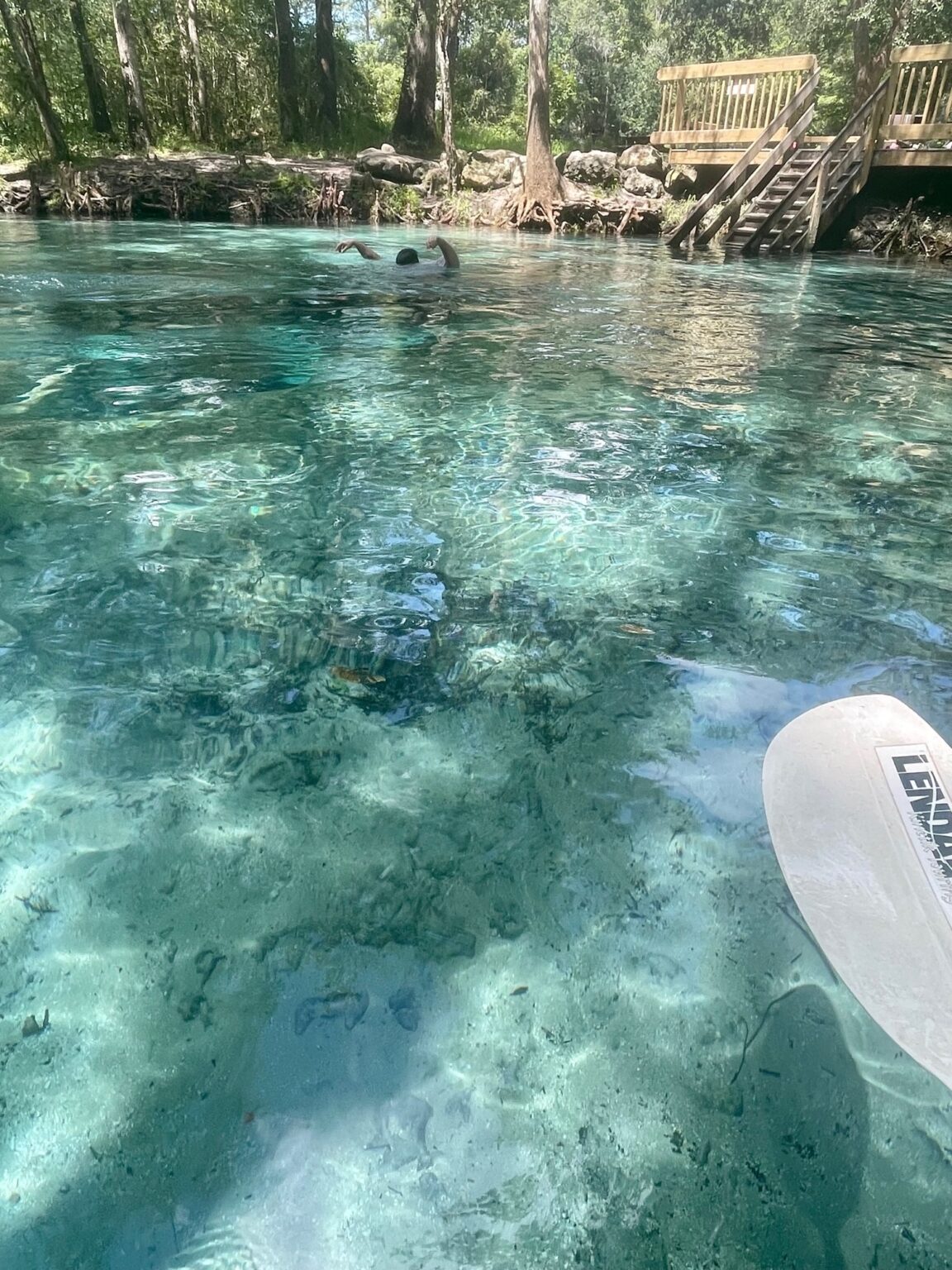 Exploring Florida Springs: Nature's Liquid Jewels - This Way To ...