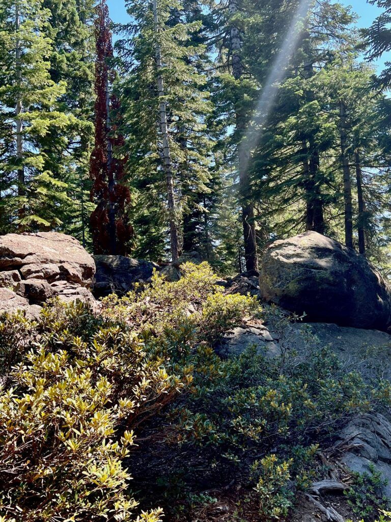 Sacred Sites And Spiritual Experiences At Mt. Shasta - This Way To Paradise